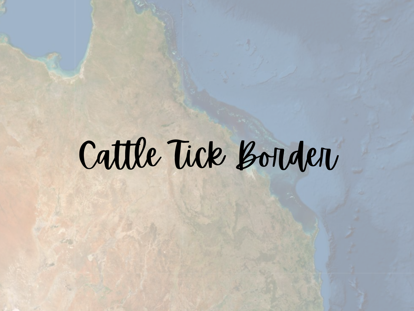 Animal Welfare - Australian Campdraft Association