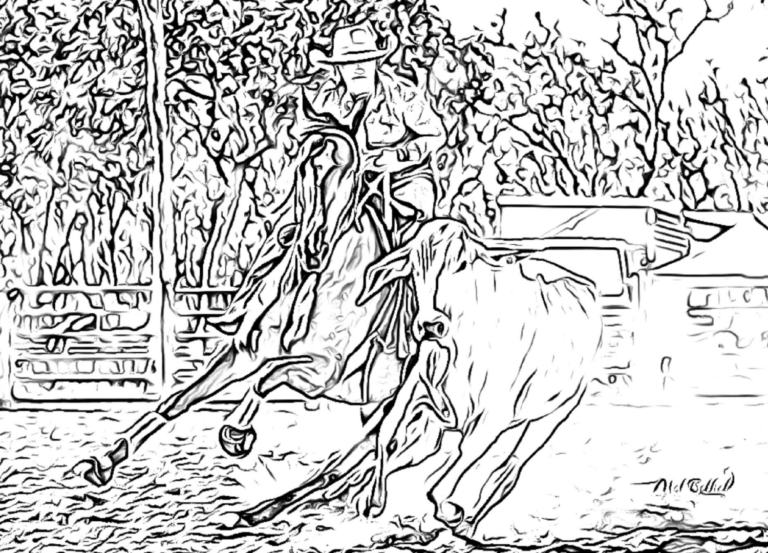 Colouring In Pages - Australian Campdraft Association