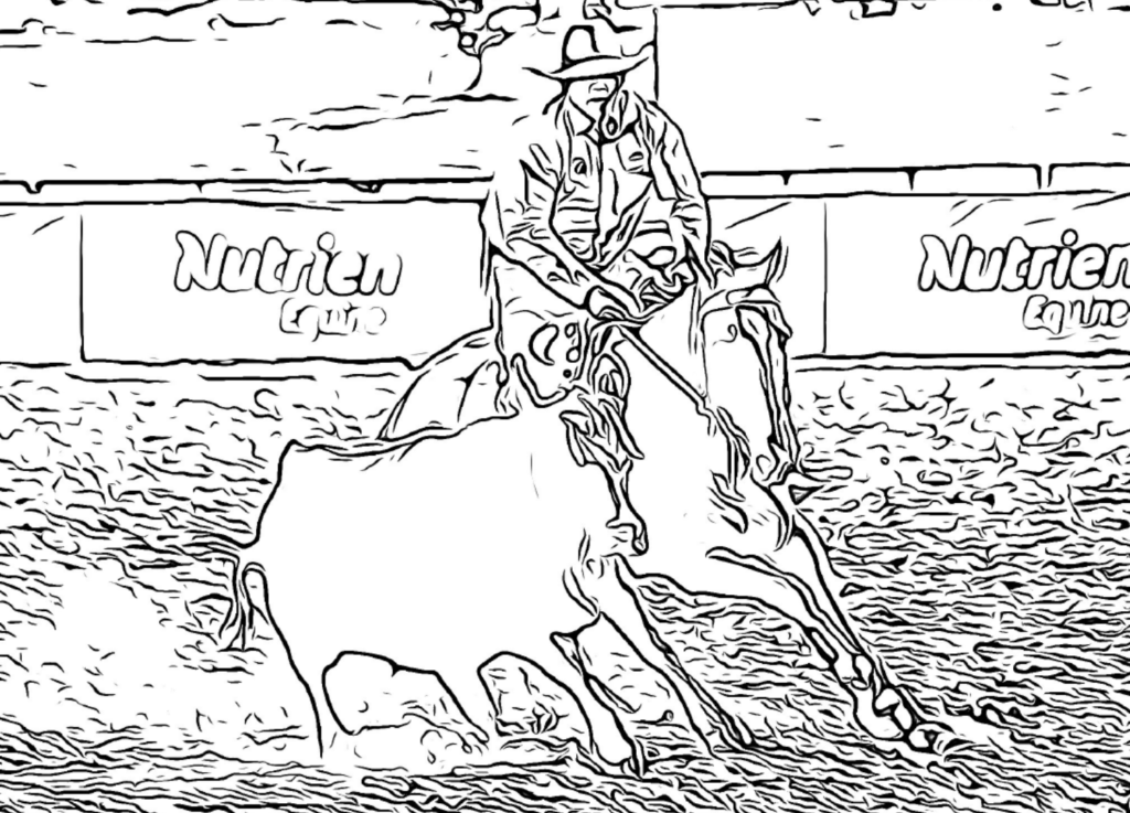 Colouring In Pages - Australian Campdraft Association