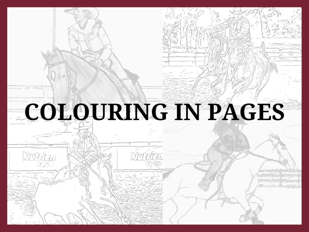 Creative Corner - Australian Campdraft Association