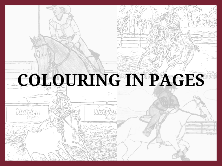 Creative Corner - Australian Campdraft Association